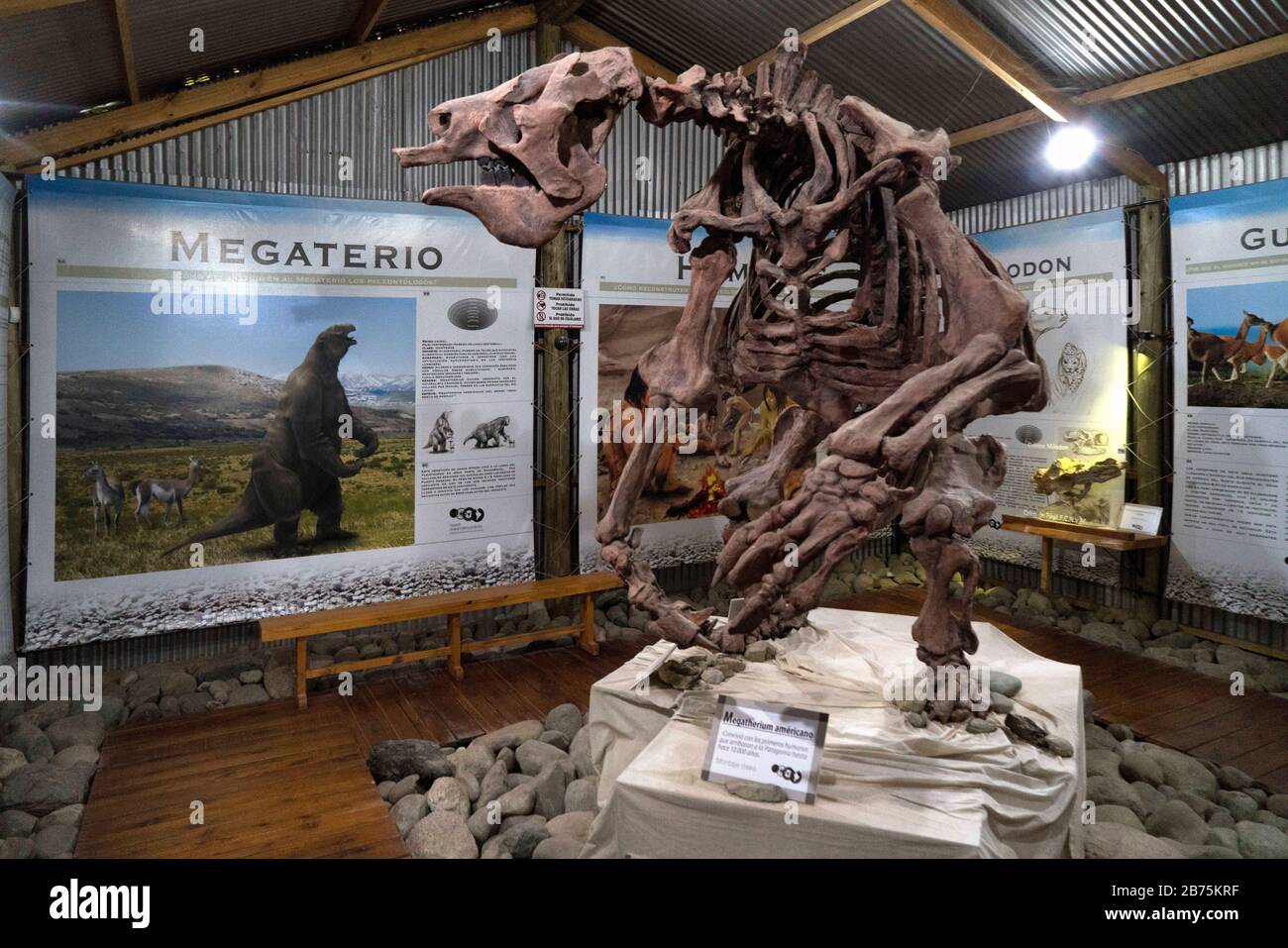 Megatherium museum High Resolution Stock Photography and Images - Alamy
