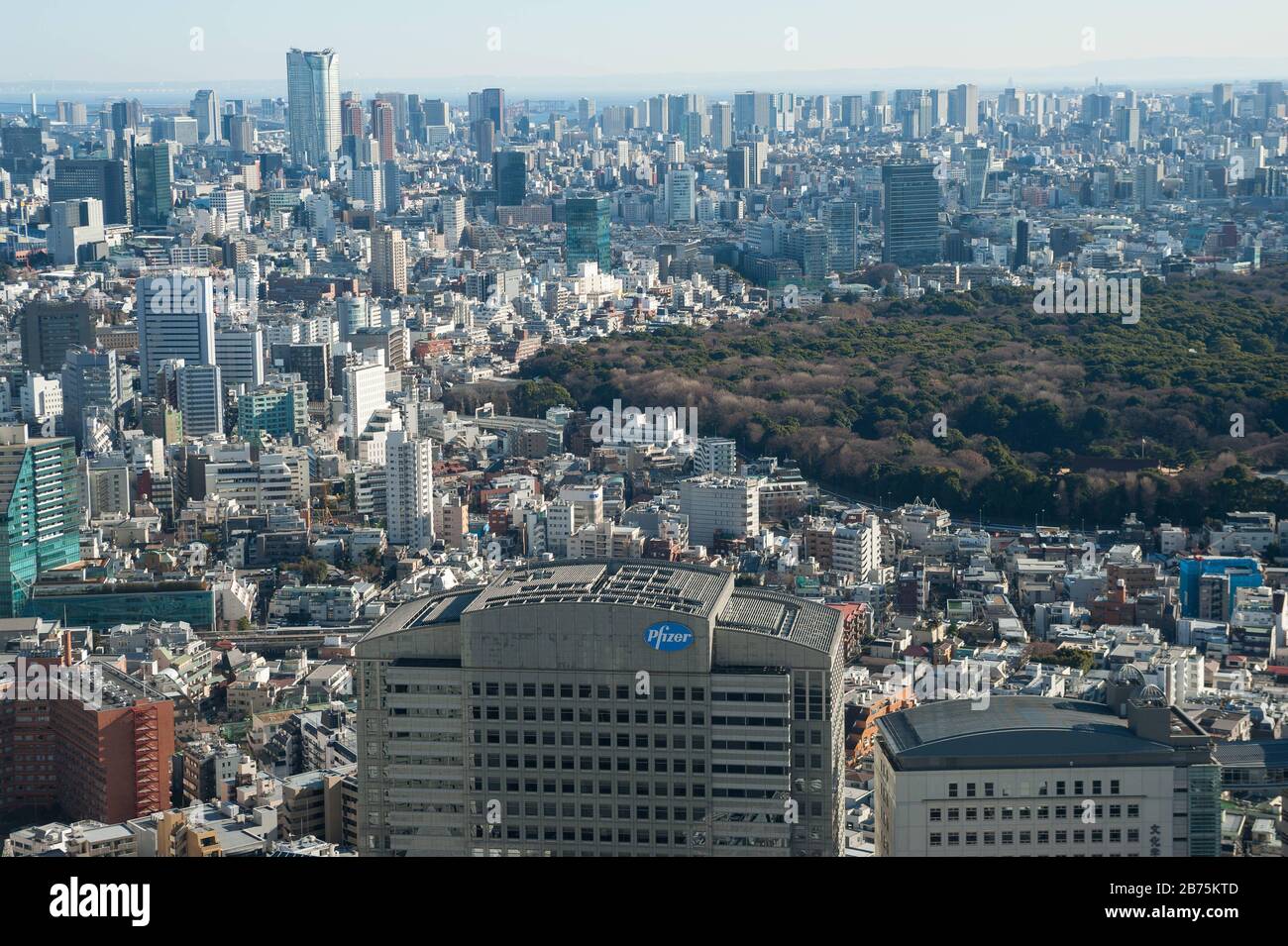 01.01.2018, Tokyo, Japan, Asia - A view from the Tokyo Metropolitan ...