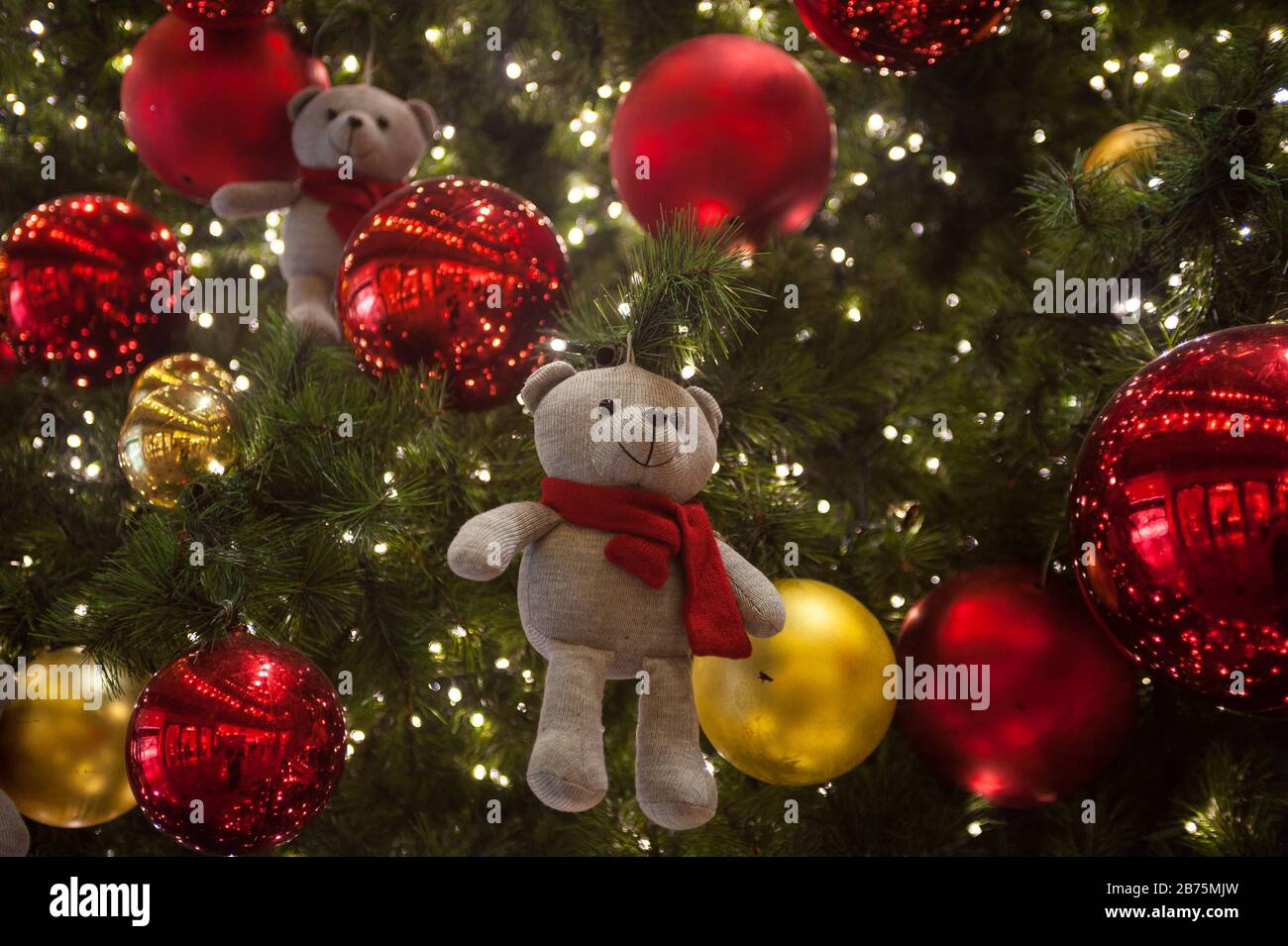 19.11.2016, Singapore, Republic of Singapore, Asia - A Christmas tree ...