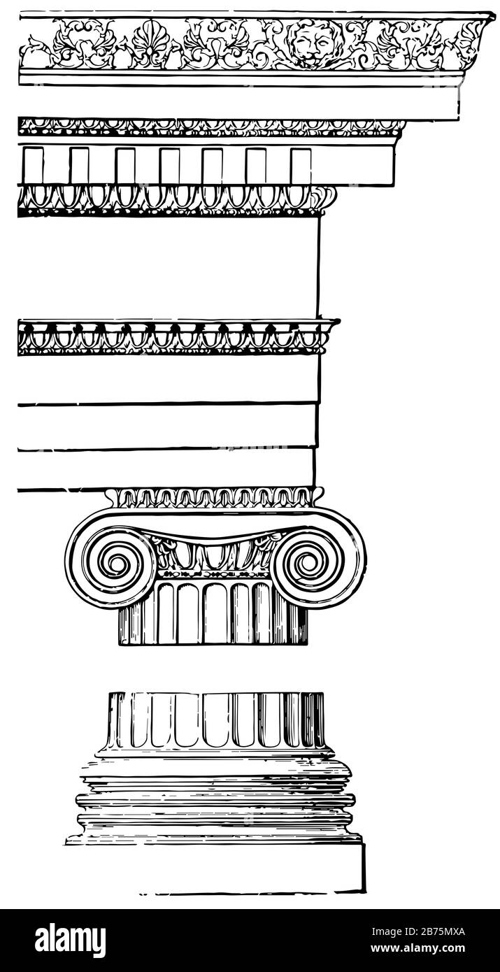 Reintroduced Stock Vector Images - Alamy