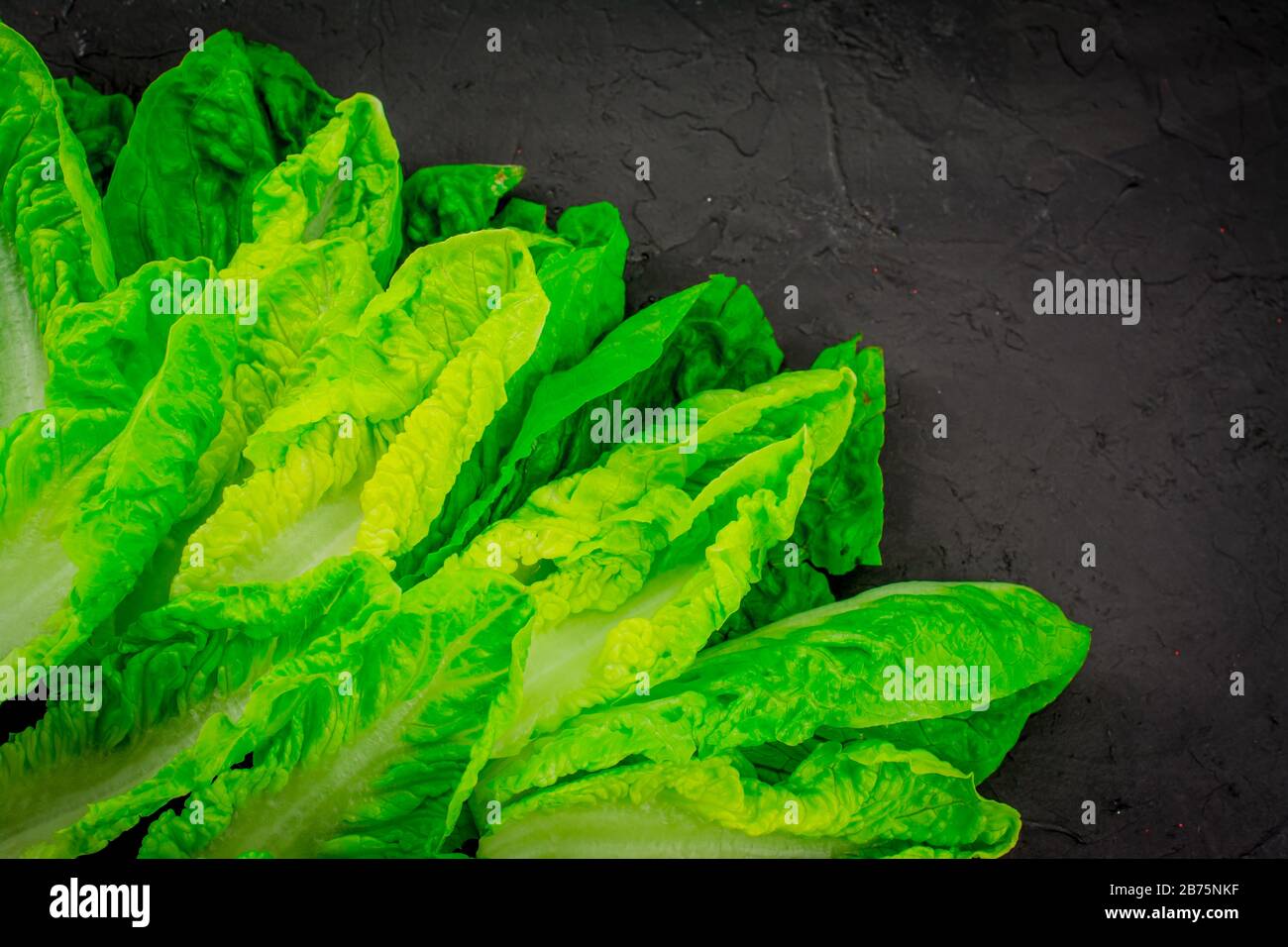Crispy lettuce hi-res stock photography and images - Alamy