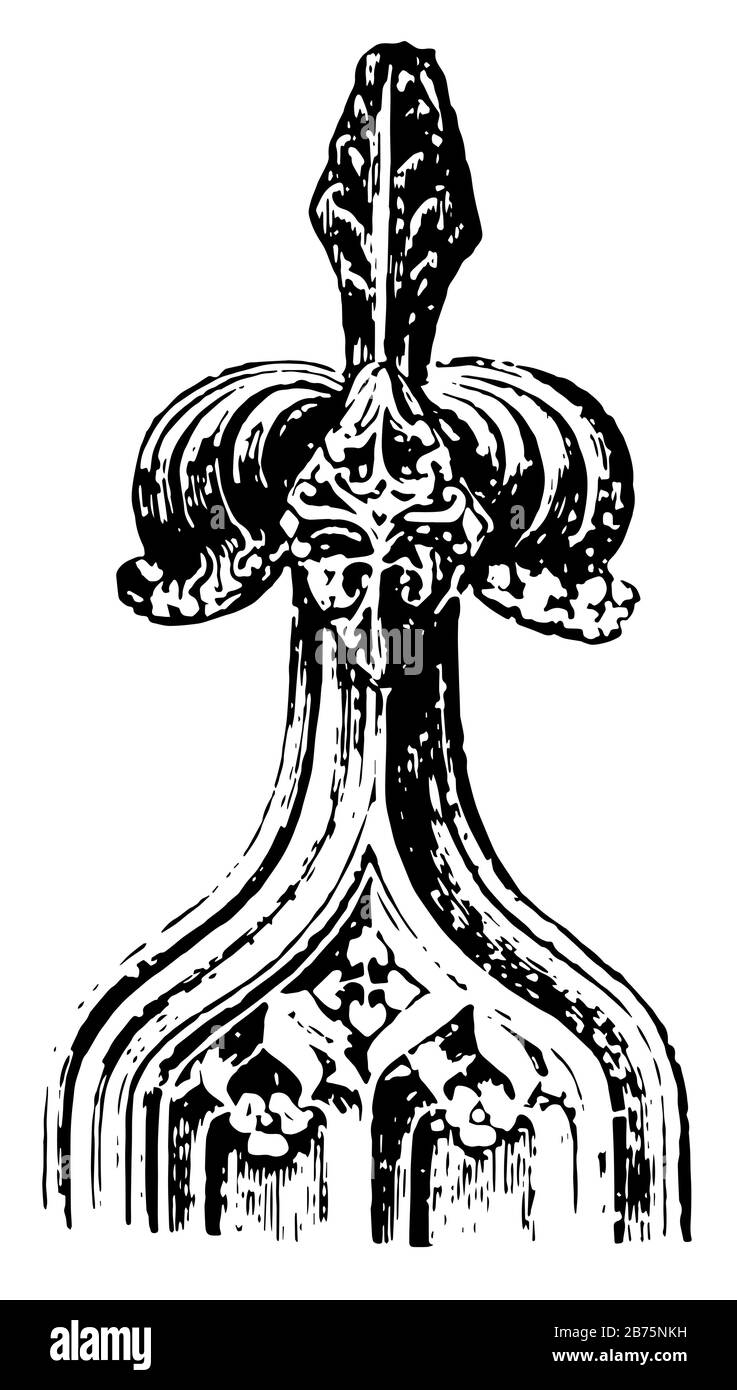 Poppy head vector vectors hi-res stock photography and images - Alamy