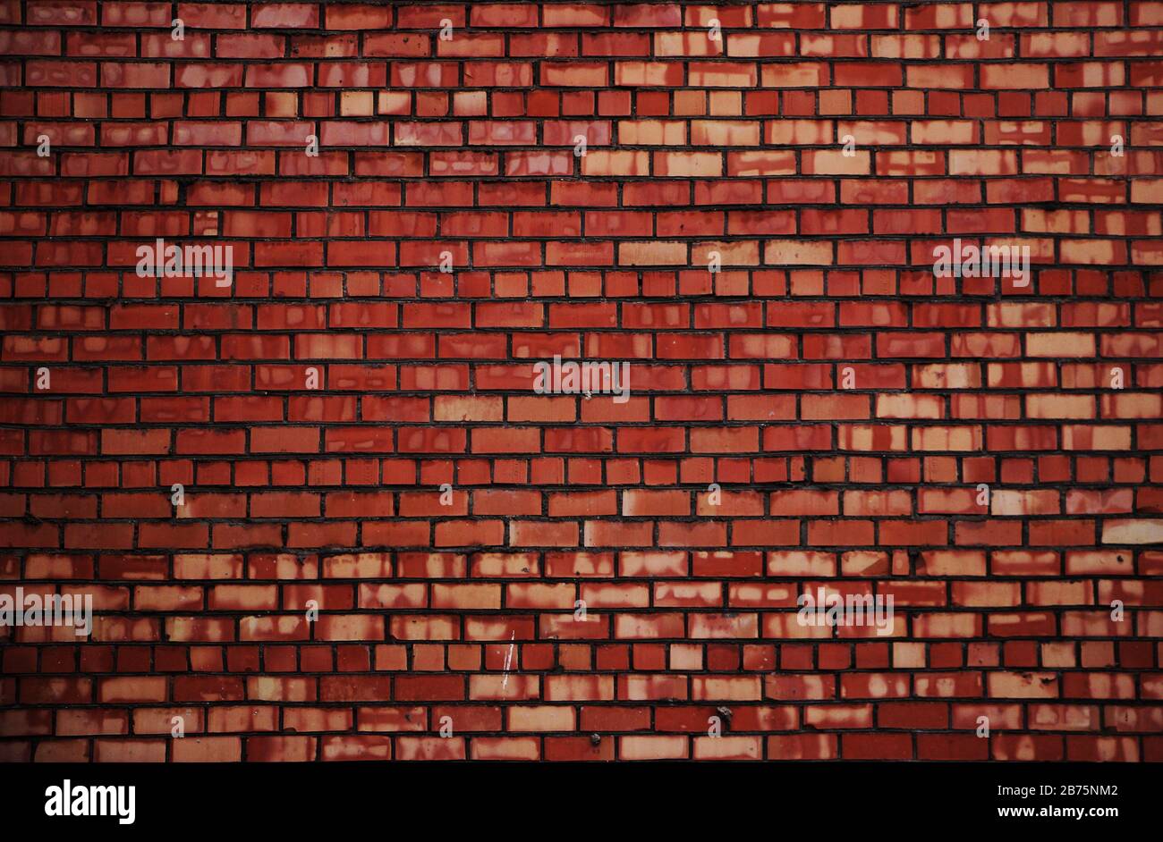 Rexture High Resolution Stock Photography and Images - Alamy