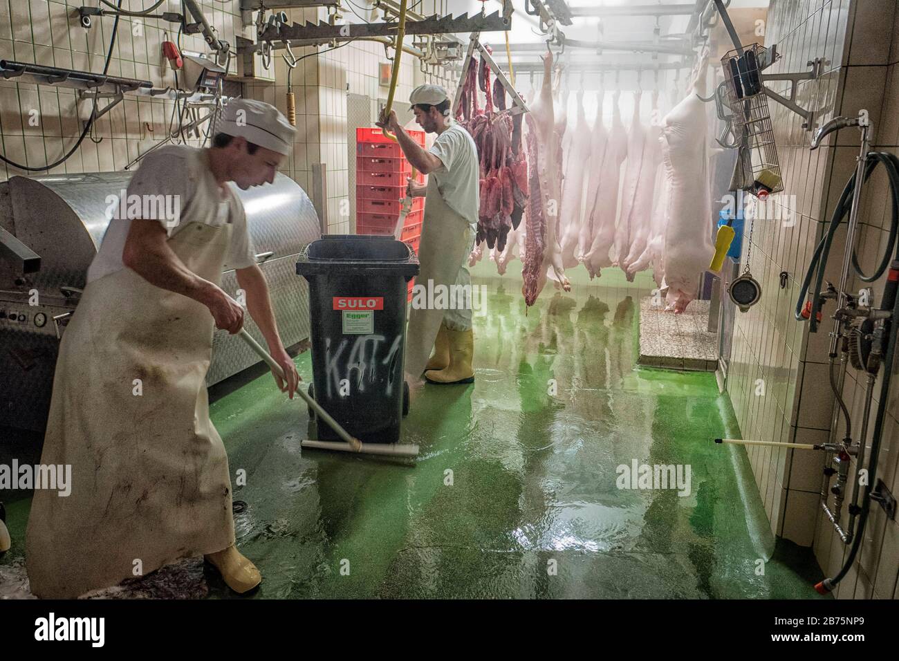 Day of slaughter at the Lohmer butchery in Wurmannsquick in the Rottal ...