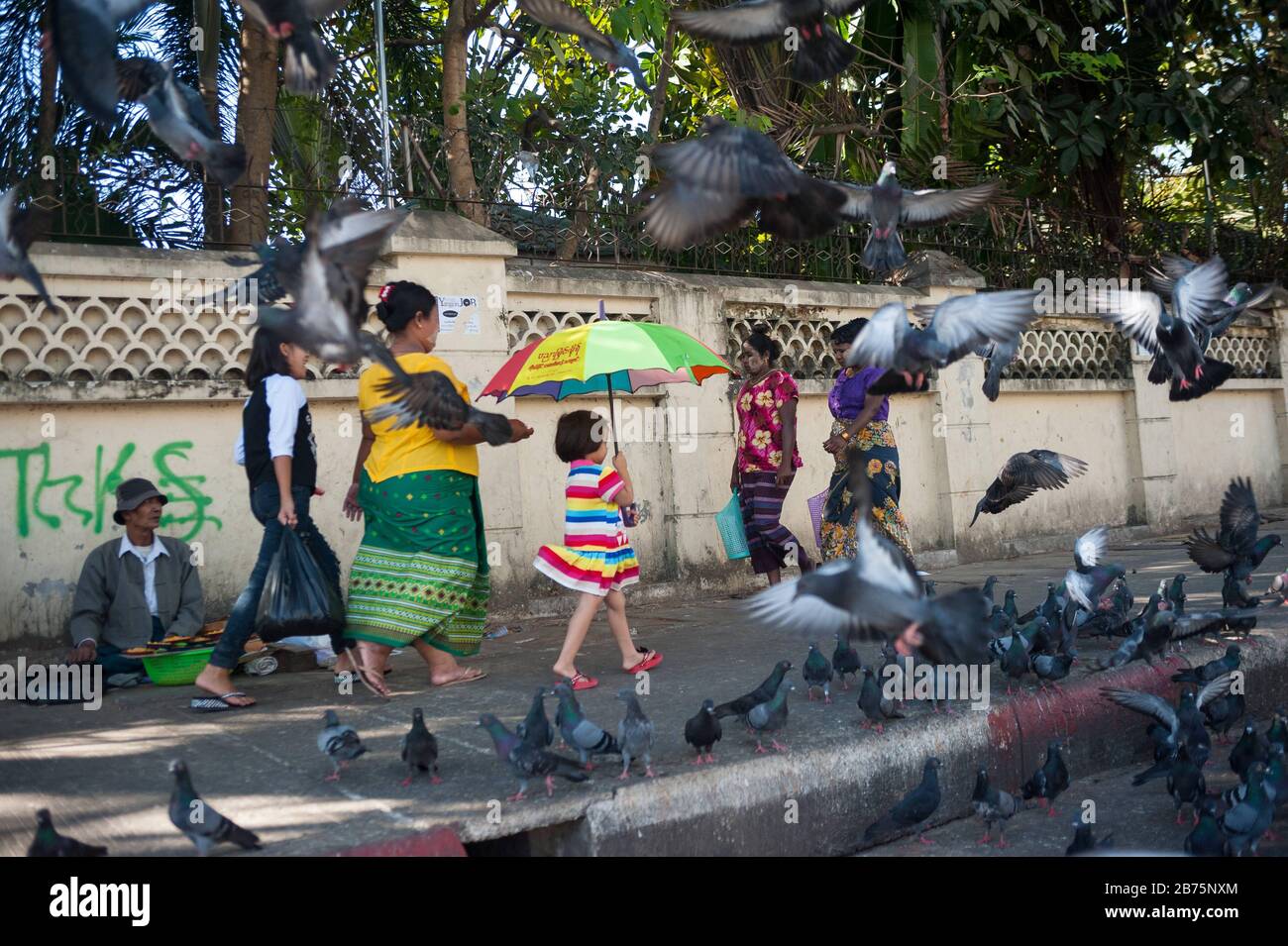 Population of doves hi-res stock photography and images - Alamy