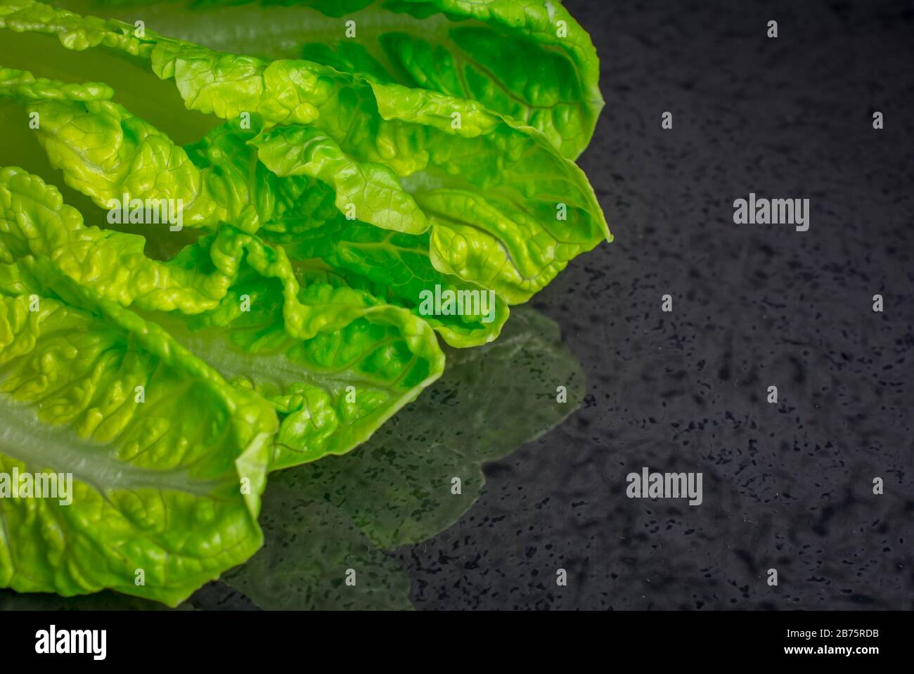 Green crispy lettuce on black background Stock Photo - Alamy