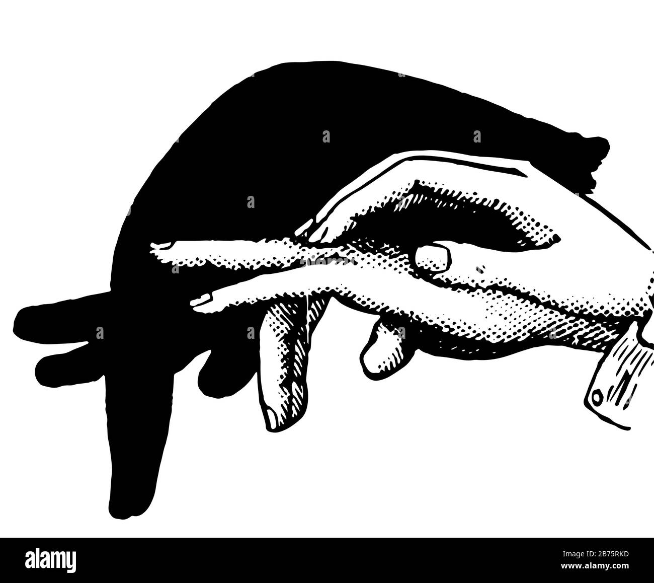 This picture represents Hand-shadow of Elephant, vintage line drawing ...