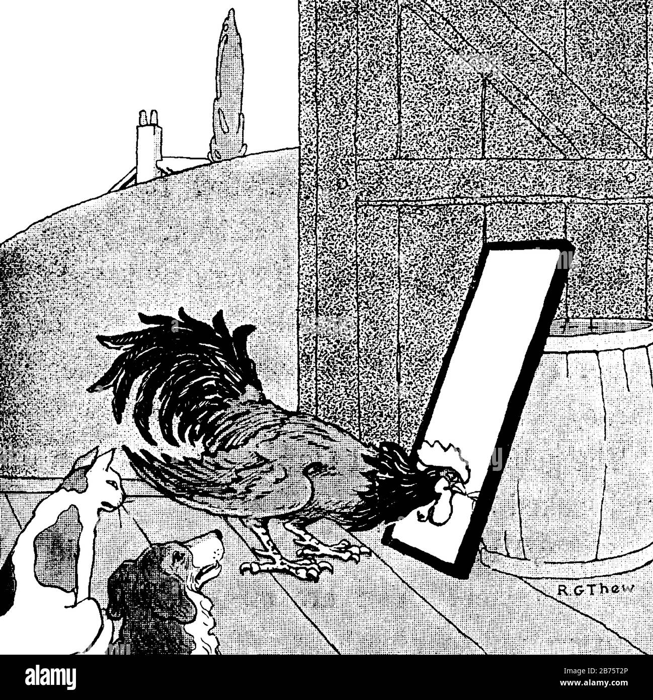 A rooster looking into mirror, cat and dog behind rooster, mirror ...