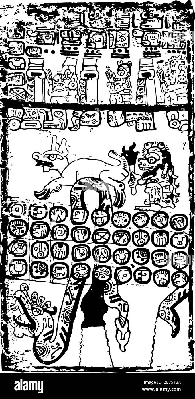 Codex Image of cortesianus, vintage line drawing or engraving ...