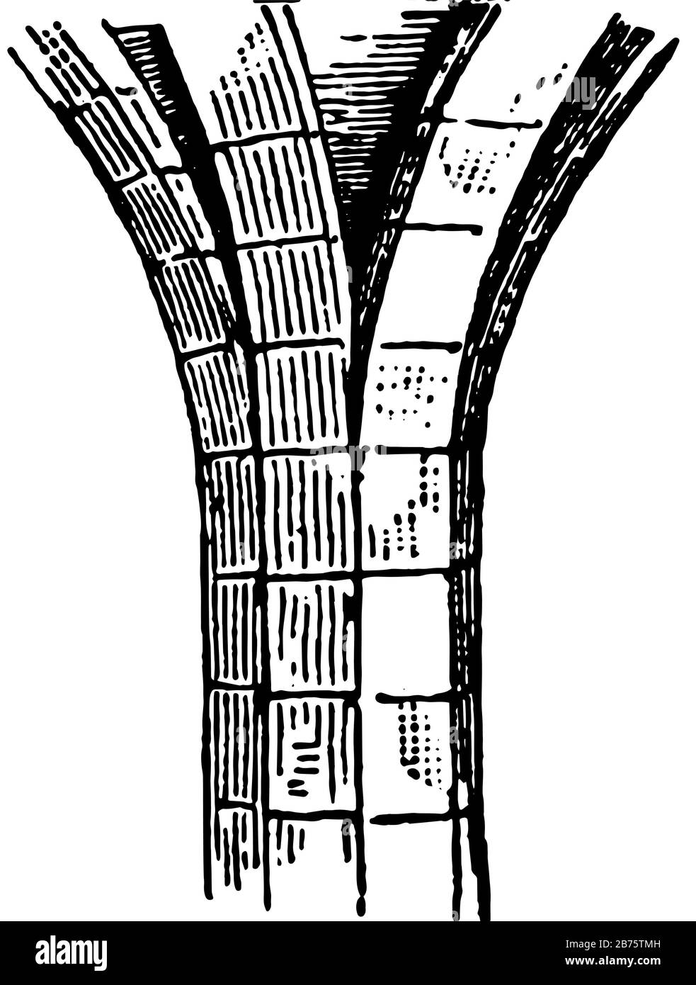 Continuous line drawing vintage Stock Vector Images - Alamy