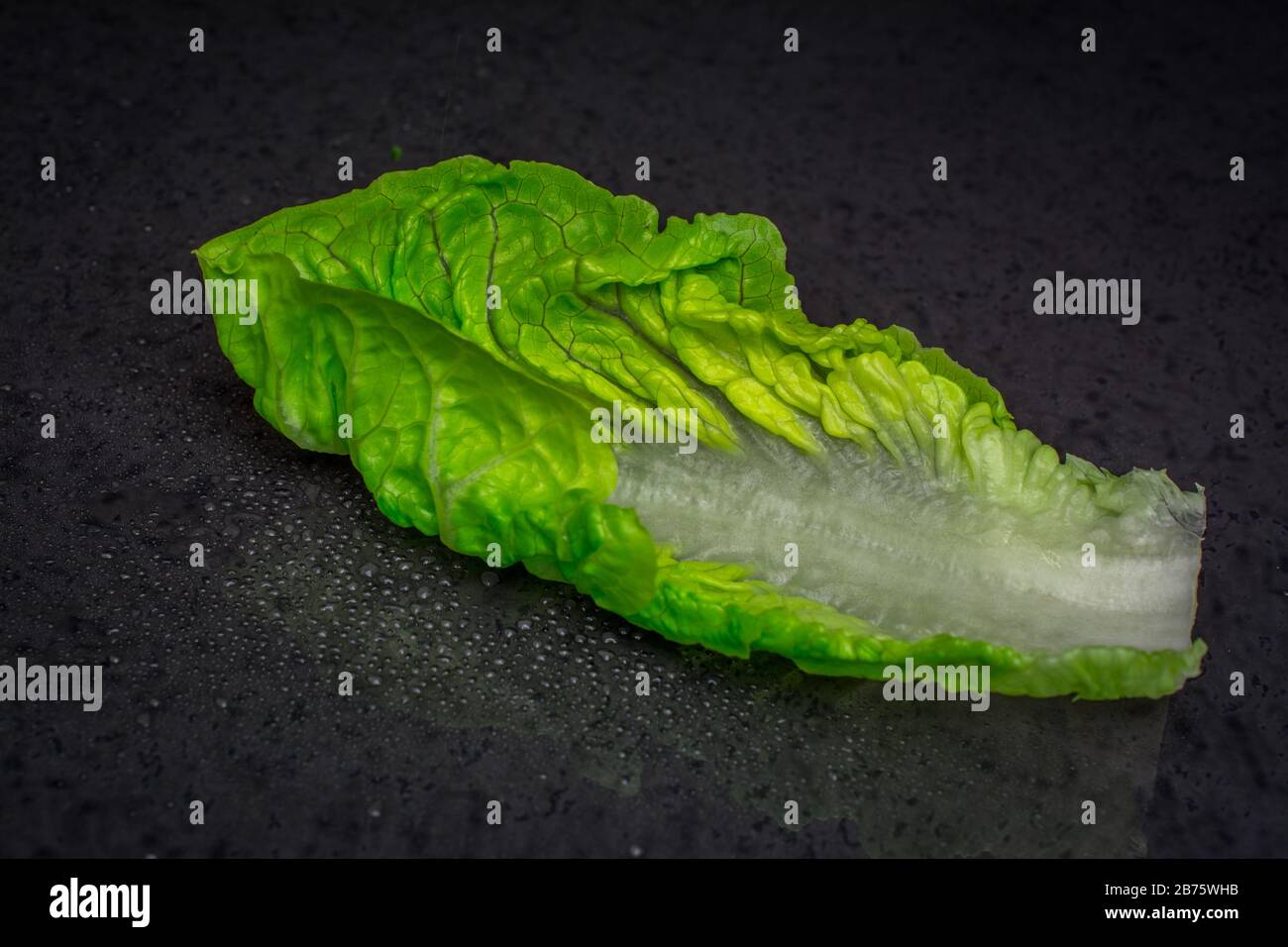 Crispy lettuce hi-res stock photography and images - Alamy
