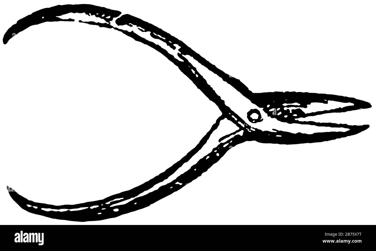 This illustration represents Pliers which used for small object may be ...