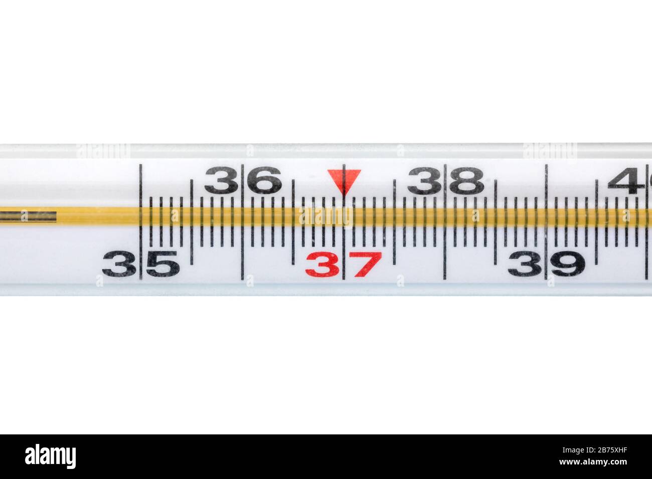 thermometer isolated on white background, focus on 37 degree Stock ...