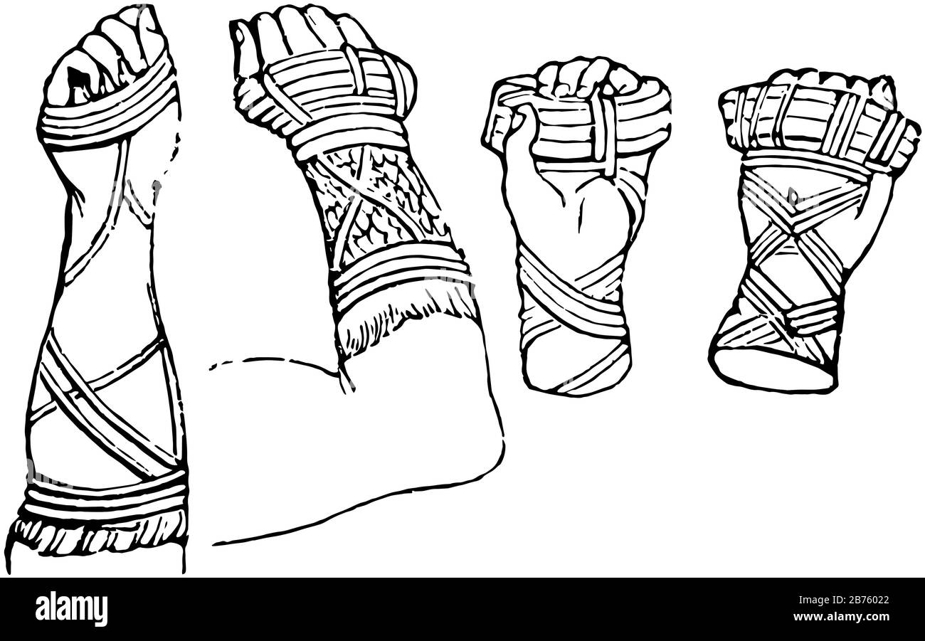 Cestus Stock Vector Images - Alamy