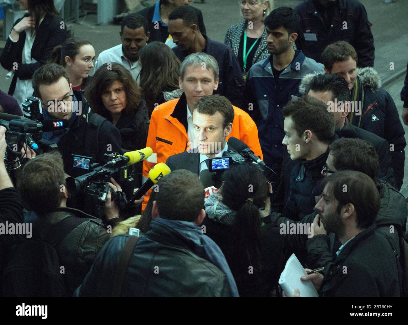 Plant schoeneweide hi-res stock photography and images - Alamy