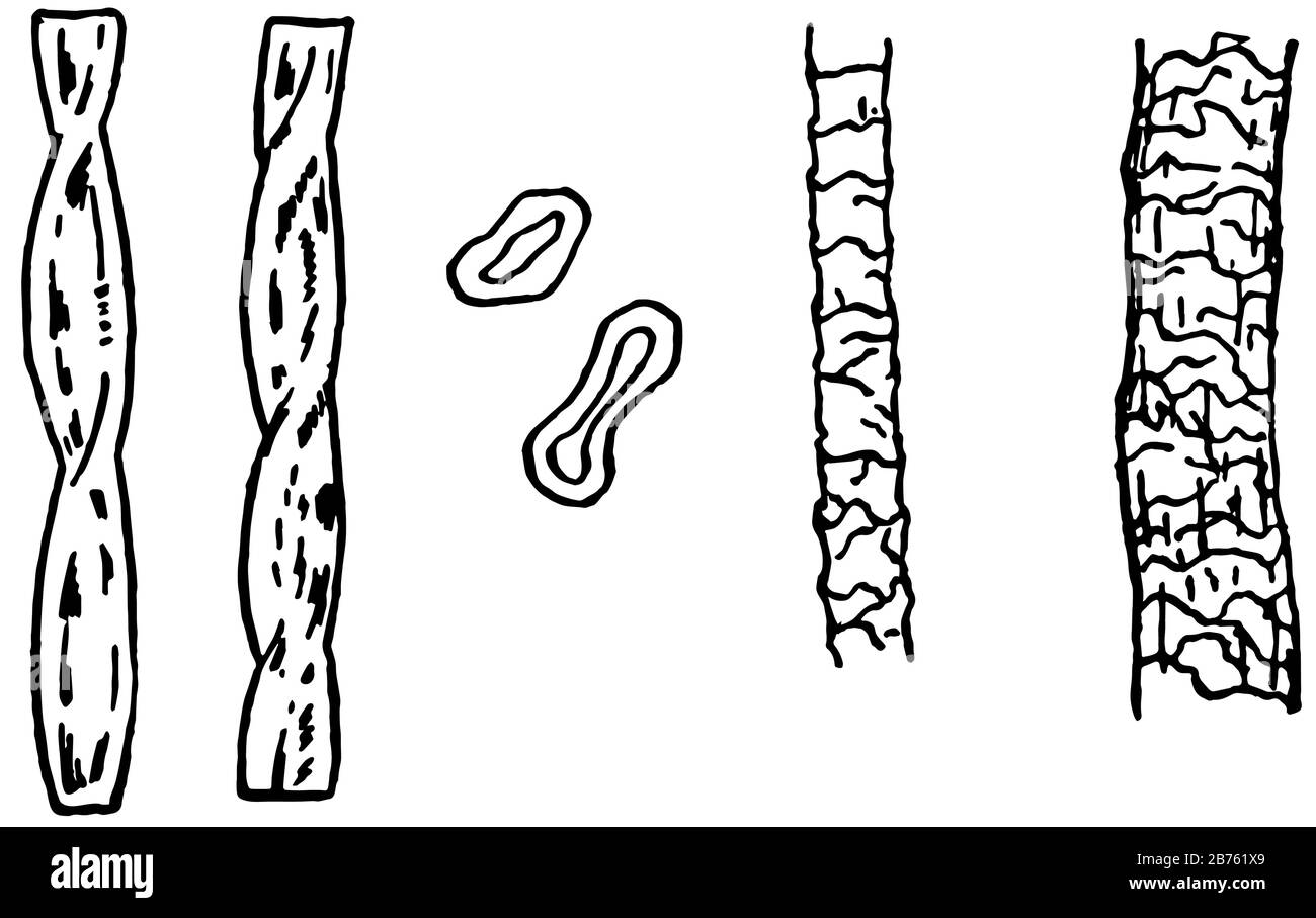 Fiber animals Stock Vector Images - Alamy