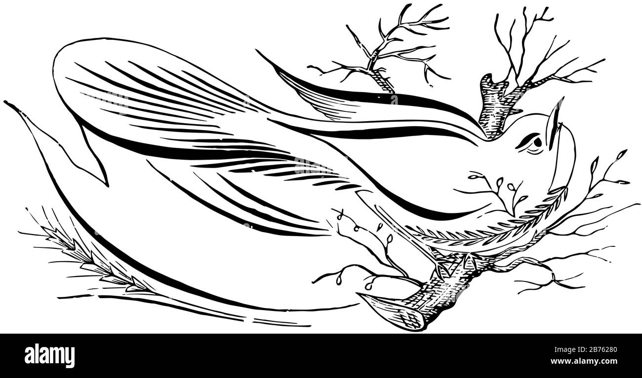 Curved banner hi-res stock photography and images - Alamy