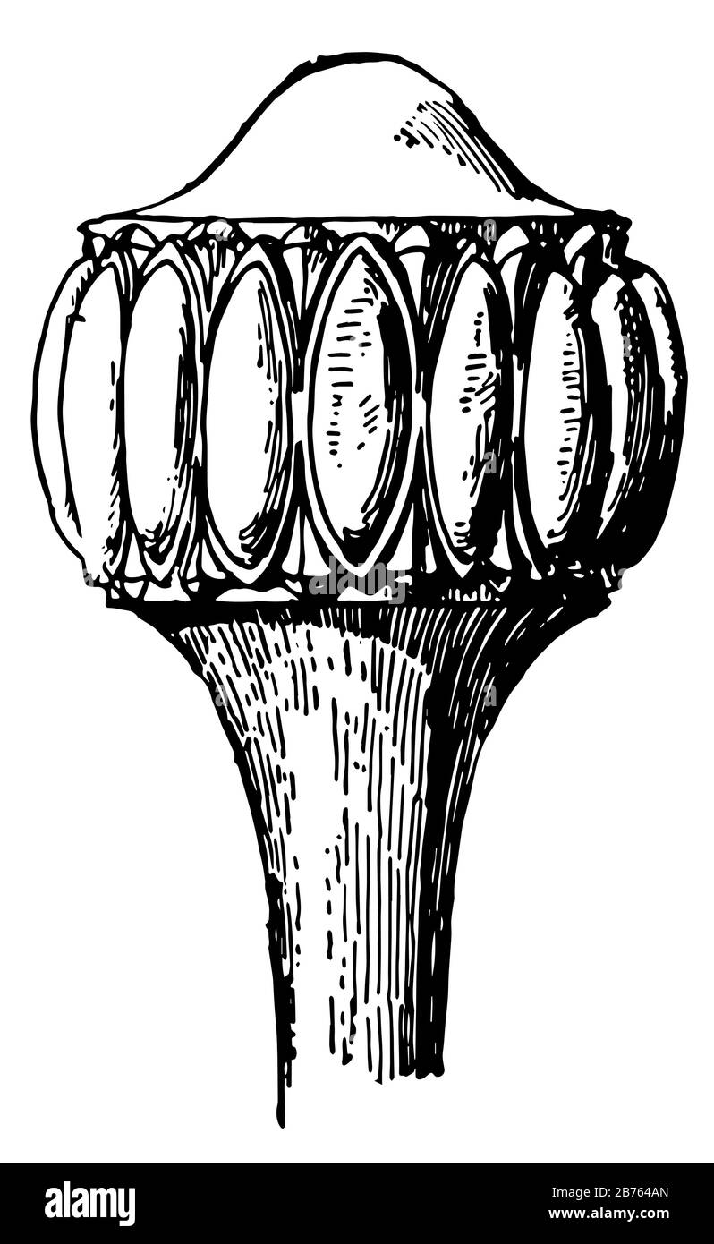 Club Detail of carved wood club, vintage line drawing or engraving ...