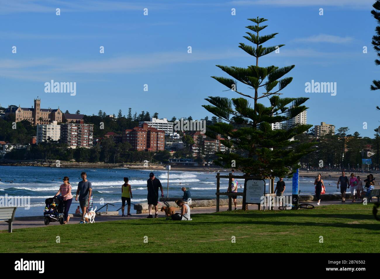 A view of Manly Beach on Sydney's north side Stock Photo - Alamy