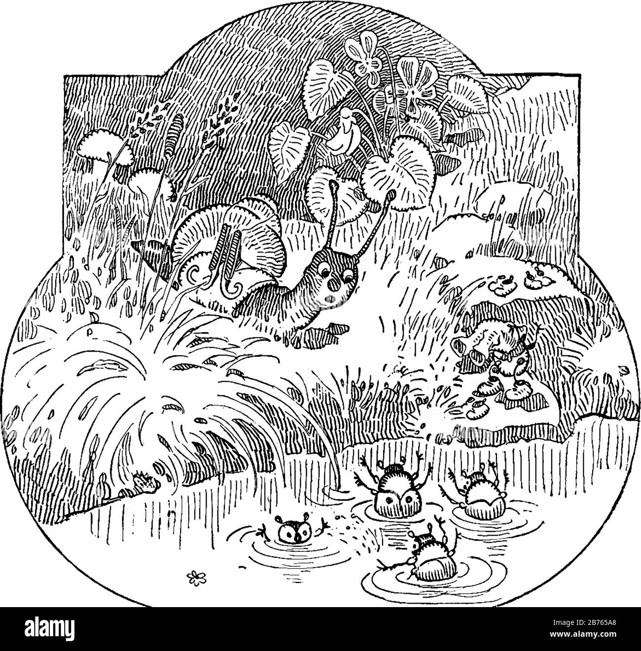 A snail walking towards bugs swimming in the water, vintage line ...