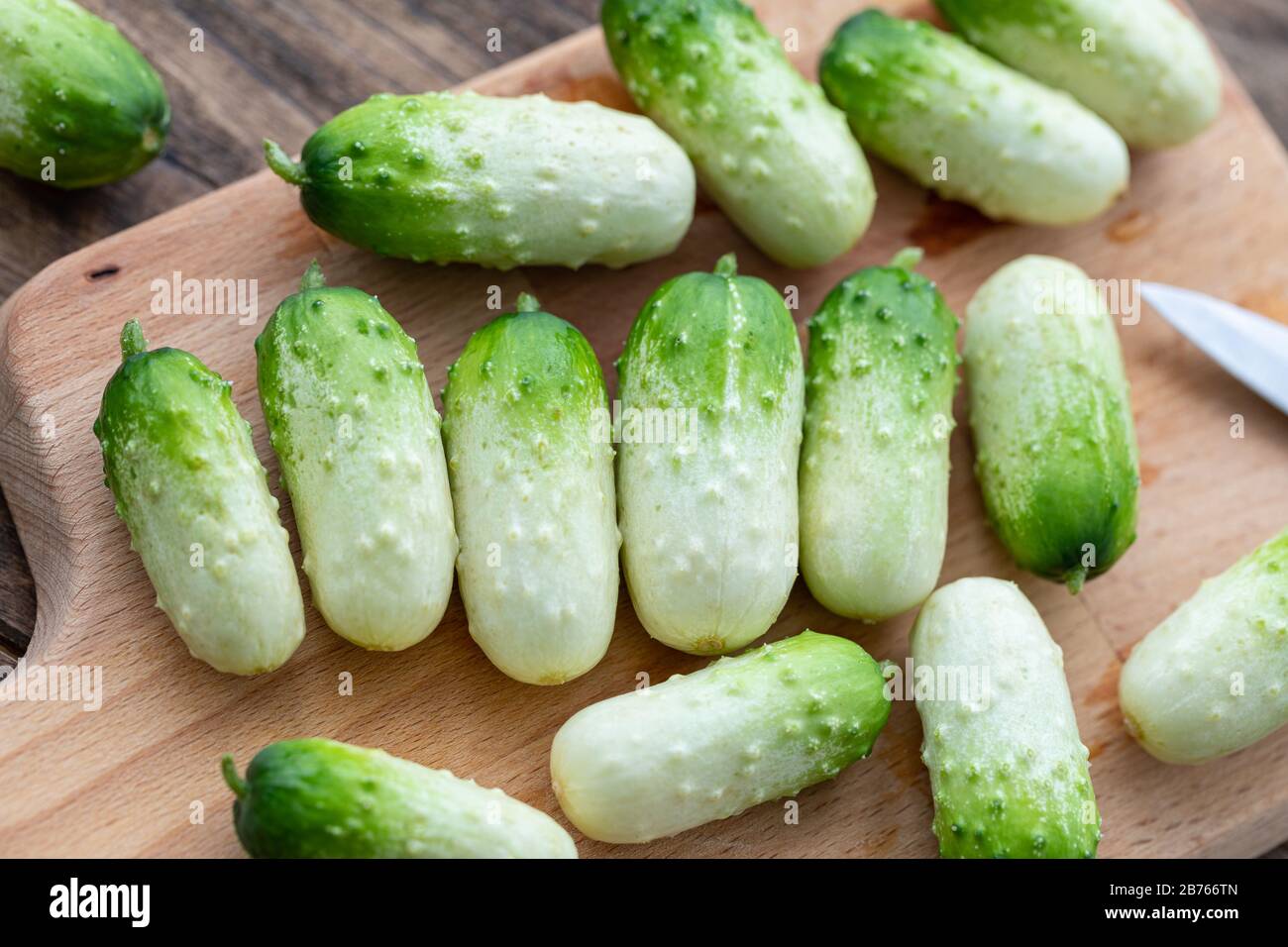 Small fresh snack cocktail Dutch cucumbers Quirk variety on wooden ...