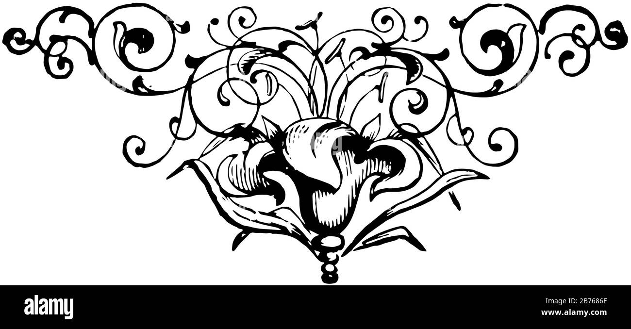 Floral is a circular flower design, vintage line drawing or engraving ...