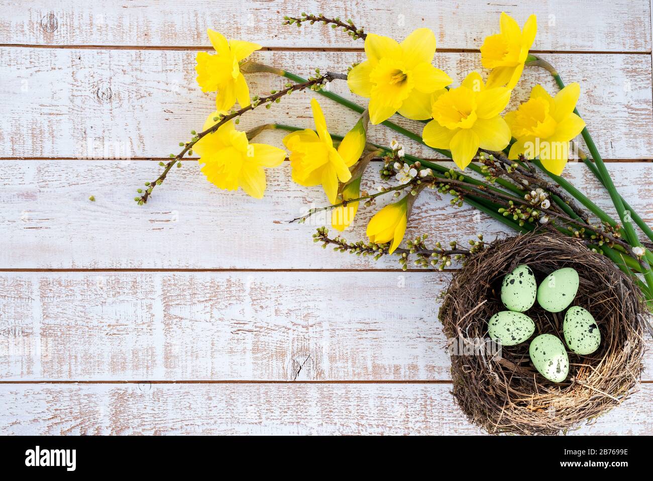 Easter background with colorful eggs in a nest over white wooden rustic ...
