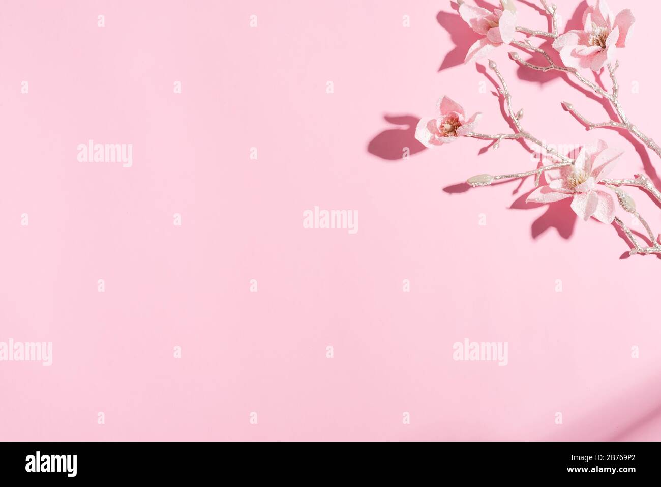 Congratulation card with corner border from branch of fresh pink orchid ...