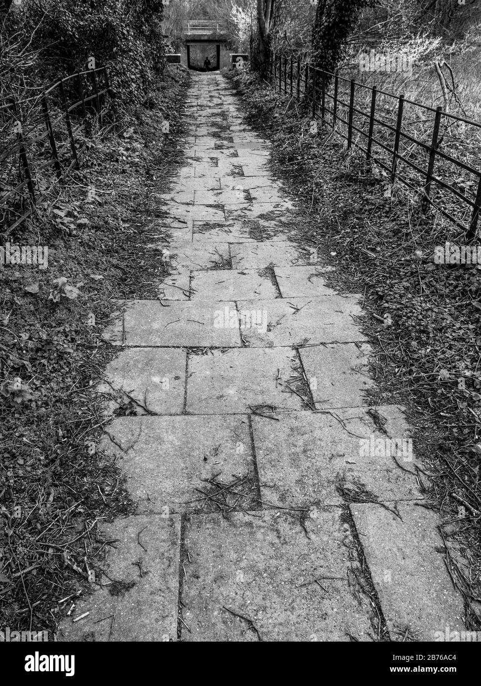 Mongwell ridgeway hi-res stock photography and images - Alamy