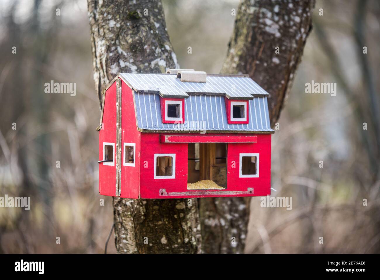The red birdhouse on a tree in springtime forest Stock Photo - Alamy