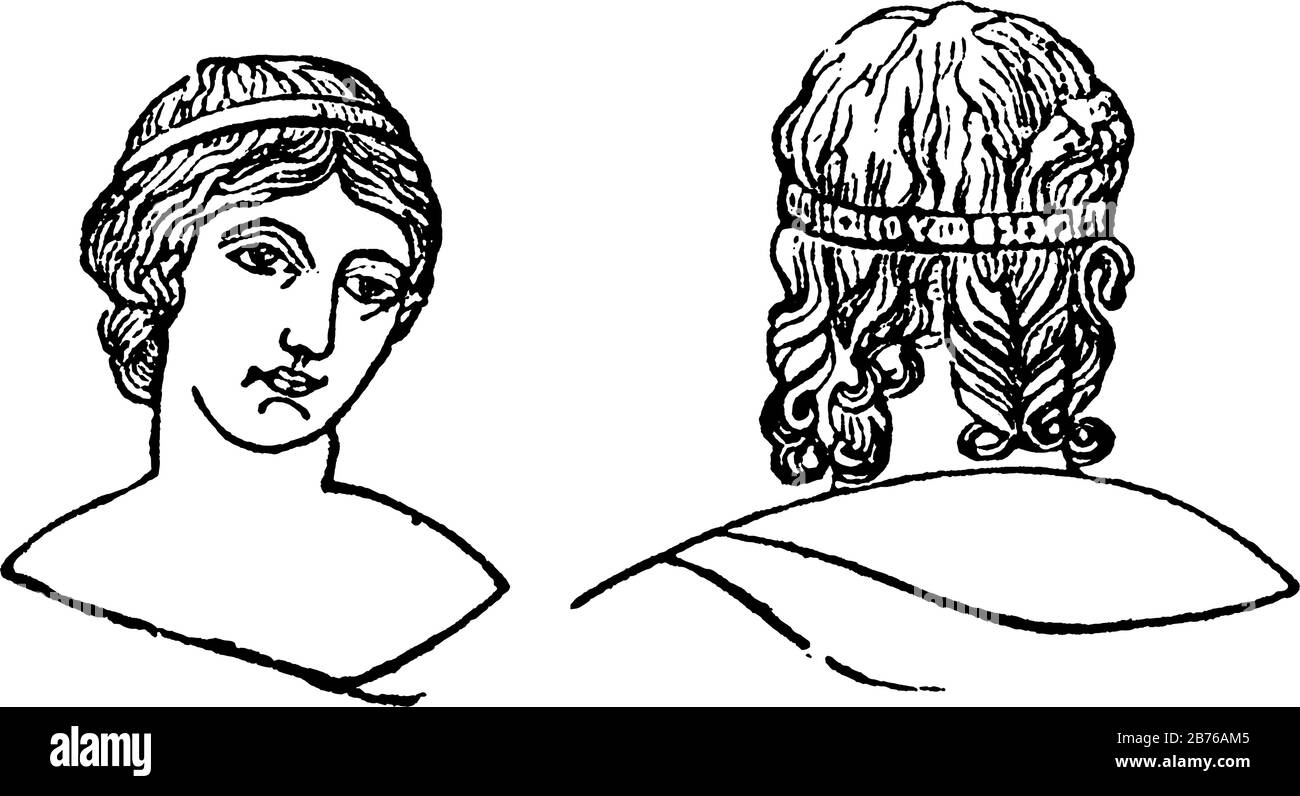 Vitta as an ordinary portion of female dress, vintage line drawing or ...