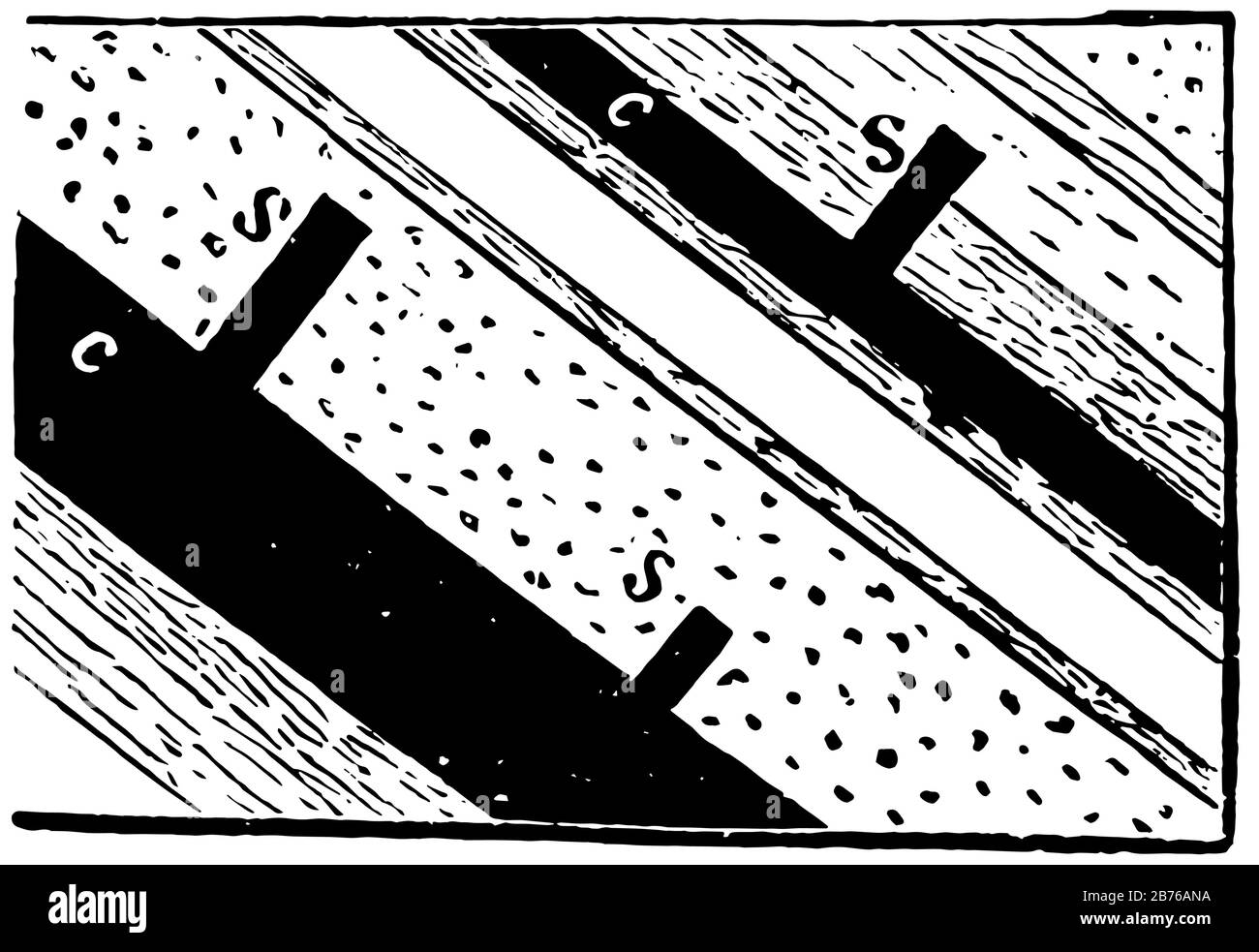 This illustration represents Coal Beds with stumps of trees rising out ...