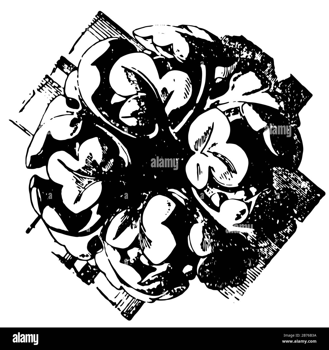 Stone Wall Drawing Clipart Flower