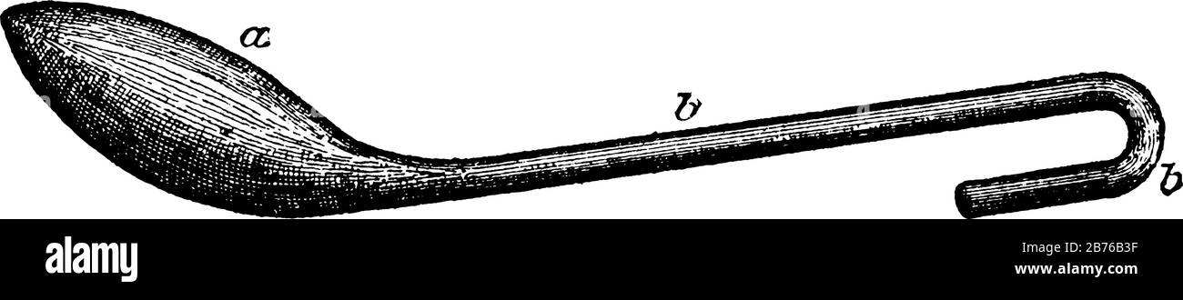 Bulbous head Stock Vector Images - Alamy