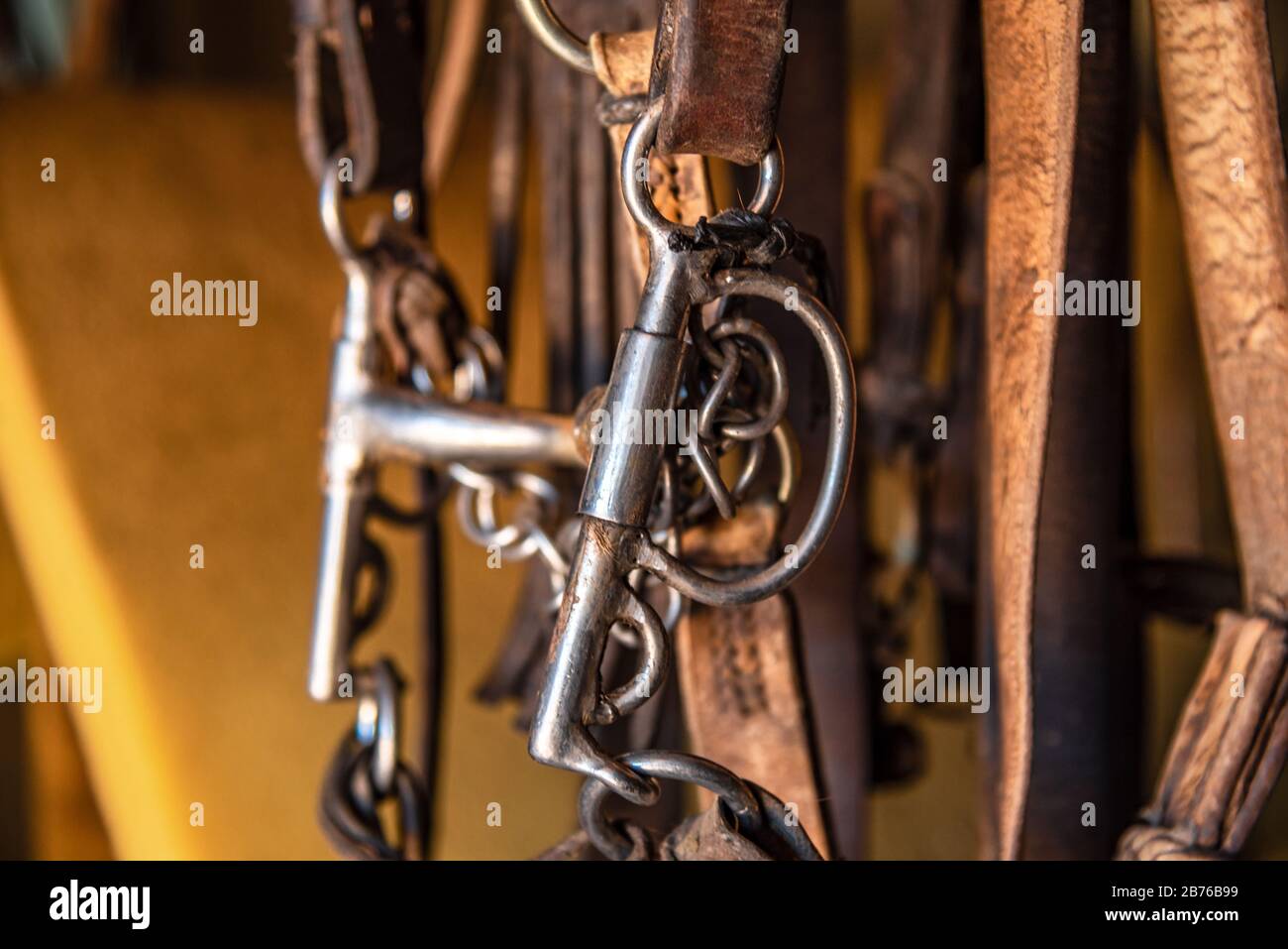 Leather horse bridles and bits hanging on a stable Stock Photo - Alamy
