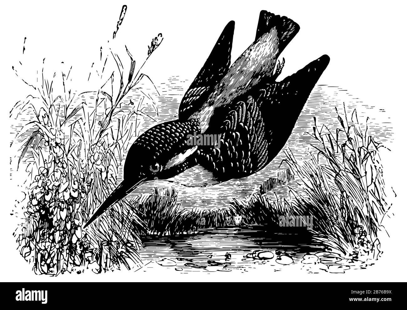 Wet areas Stock Vector Images - Alamy