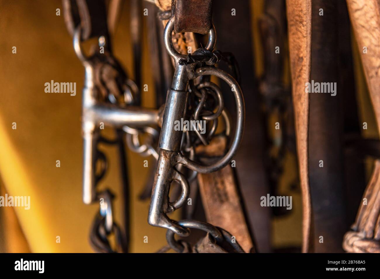 Leather horse bridles and bits hanging on a stable Stock Photo - Alamy