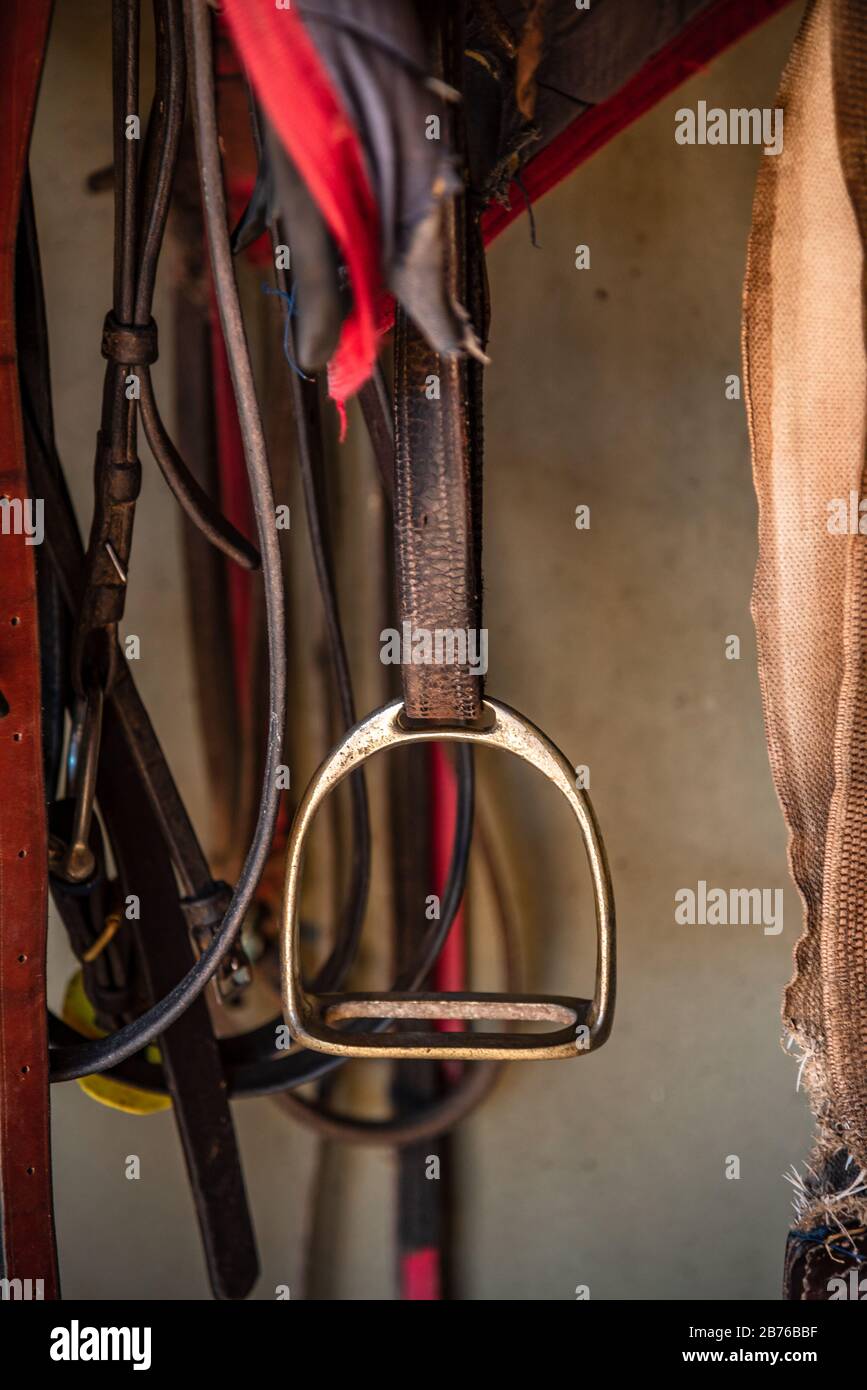 Metal Bits Horse High Resolution Stock Photography and Images - Alamy
