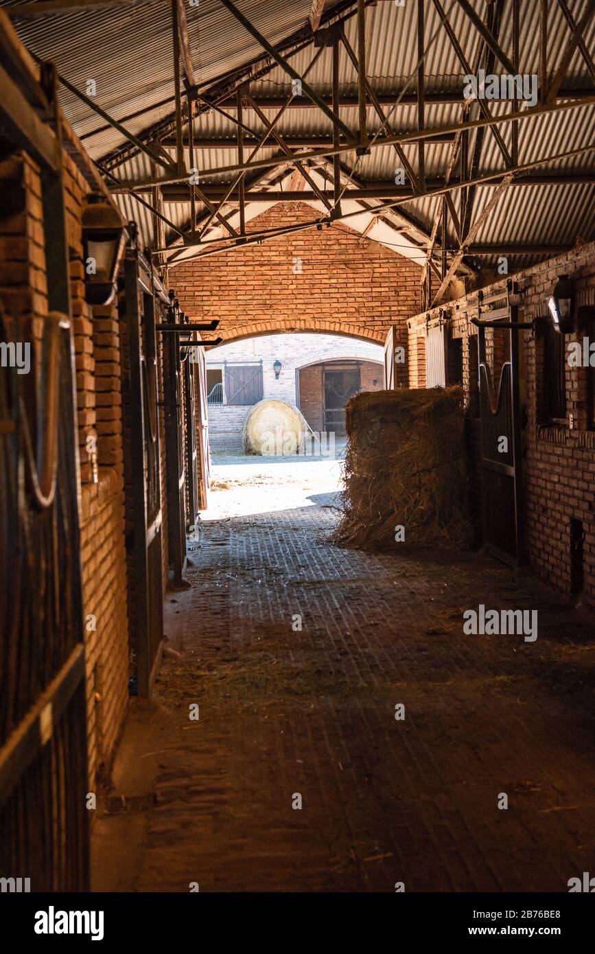 Inside a bricks stable looking trough a door two hay rolls and horses ...