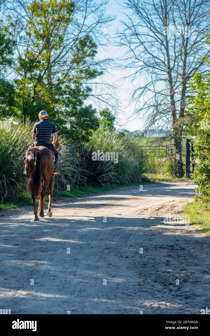 Back view man horseback hi-res stock photography and images - Alamy