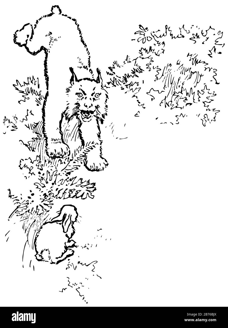 Lynx and a rabbit in this pattern design, vintage line drawing or ...