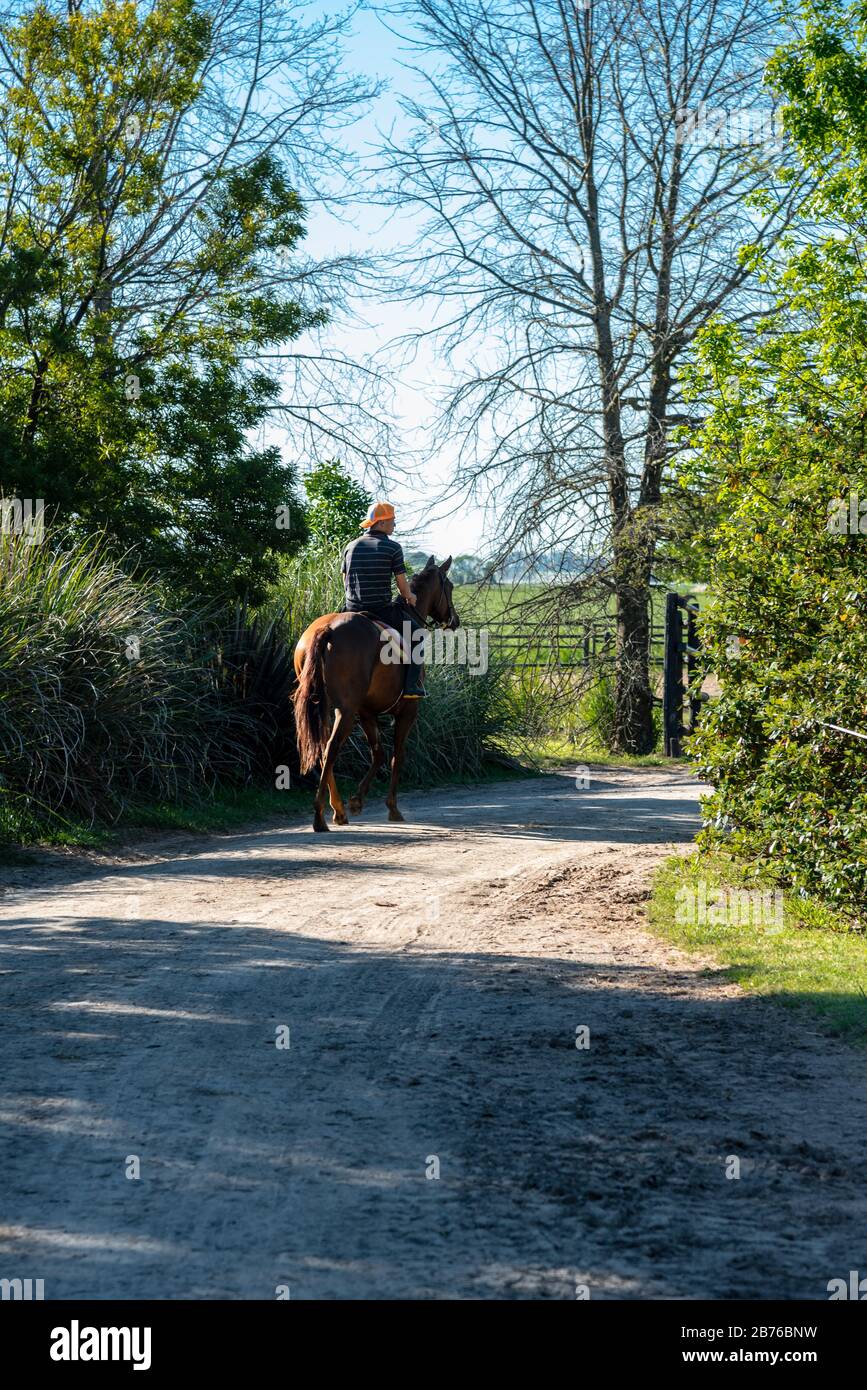 Back view man horseback hi-res stock photography and images - Alamy