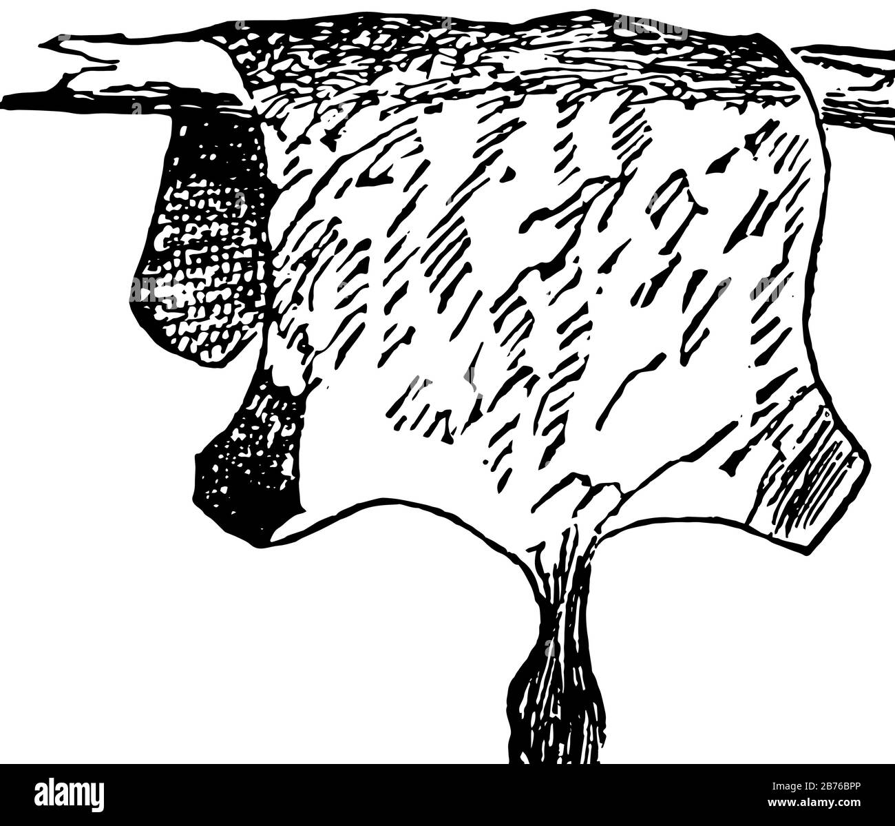This illustration represents function of Hide, vintage line drawing or ...