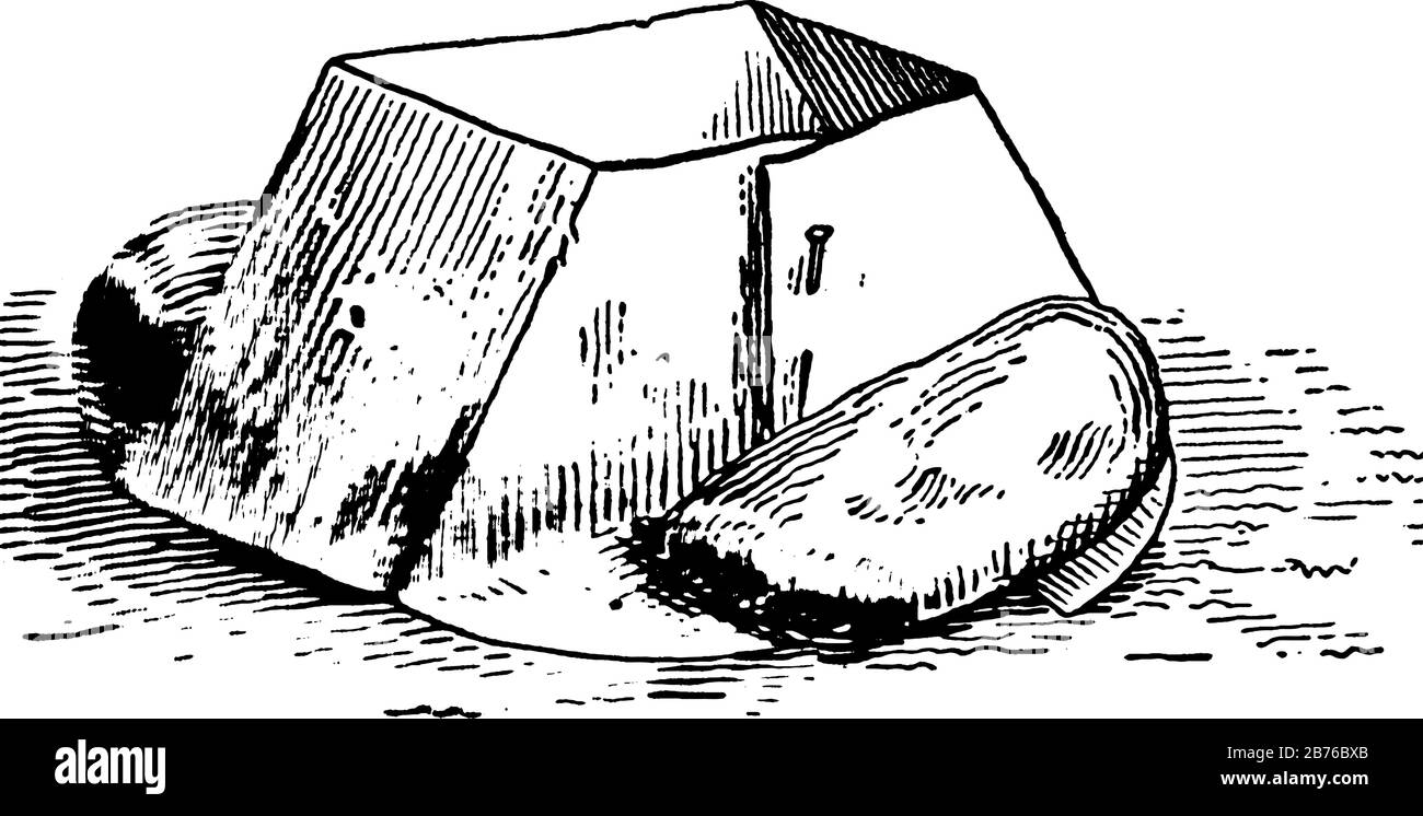 This illustration represents Paper Screen which is newly transplanted ...