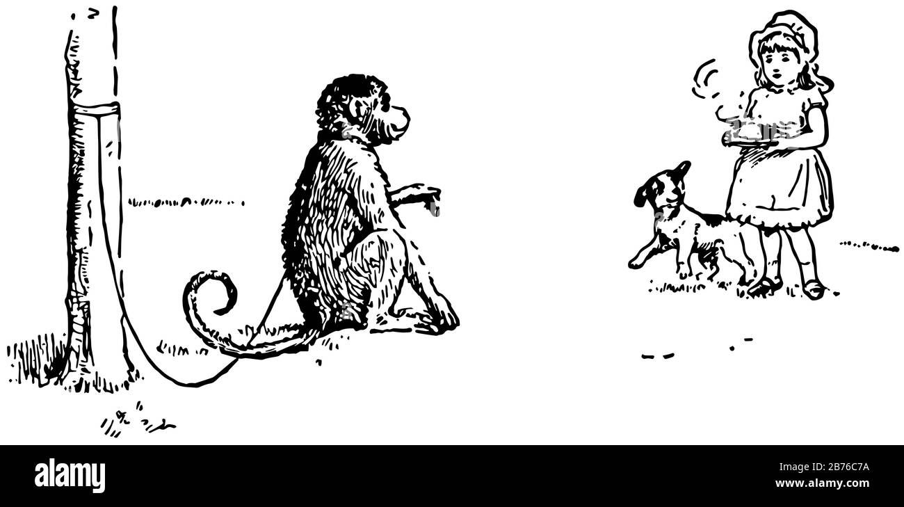 The monkey tied to wooden rod with rope and little girl with dog ...