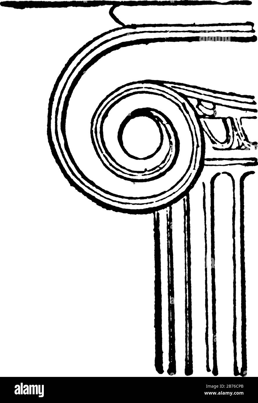 Volute of the Ionic Capital, spiral scroll used in Ionic, a principal ...