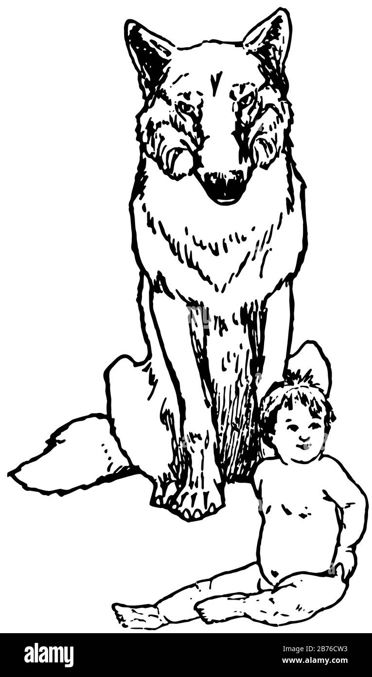 Mowgli's Brothers, this picture shows a baby sitting on ground and wolf ...
