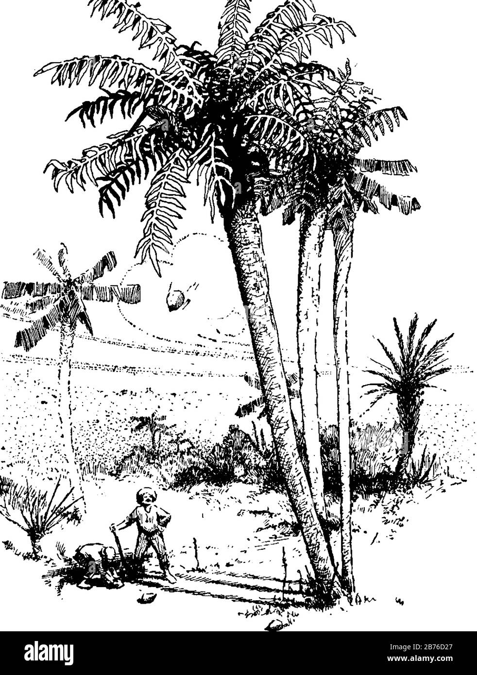 Two swiss men Stock Vector Images - Alamy