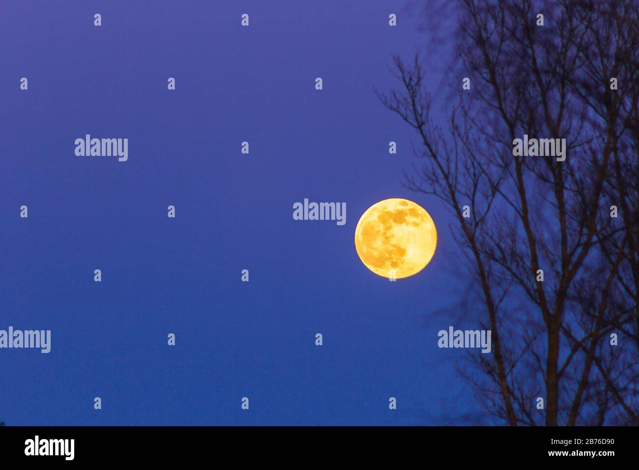 yellow fullmoon in the blue sky astronomy telephoto Stock Photo - Alamy