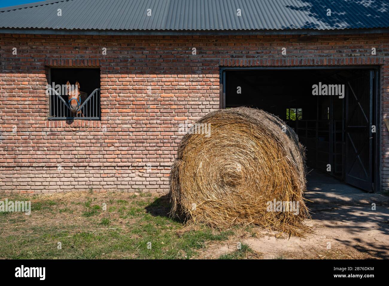 Hay roll or bale in front of a brick barn. A window with a horse with ...
